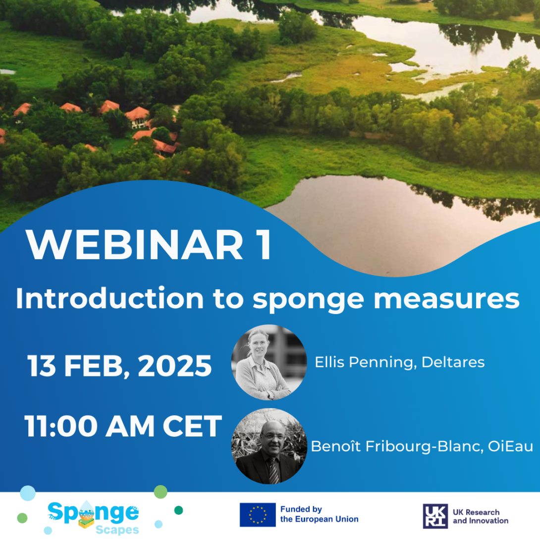 Webinar 1 - Introduction to sponge measures | SpongeScapes